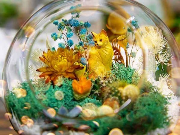 Bring Fairy Magic In Through an Indoor Fairy Garden