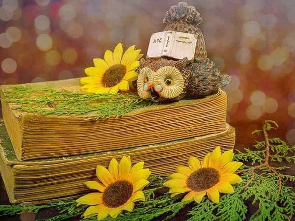 Bookworms: Fairies and Creatures That Love Reading!