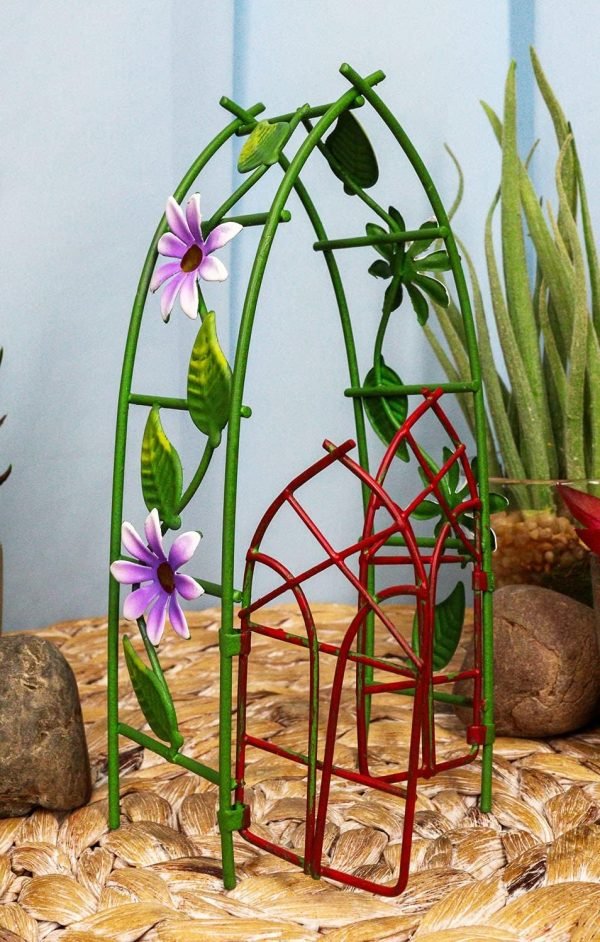 Learn More About Trixy The Beautiful Trellis Fairy